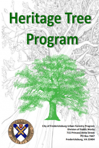 Heritage Tree Program – Tree Fredericksburg